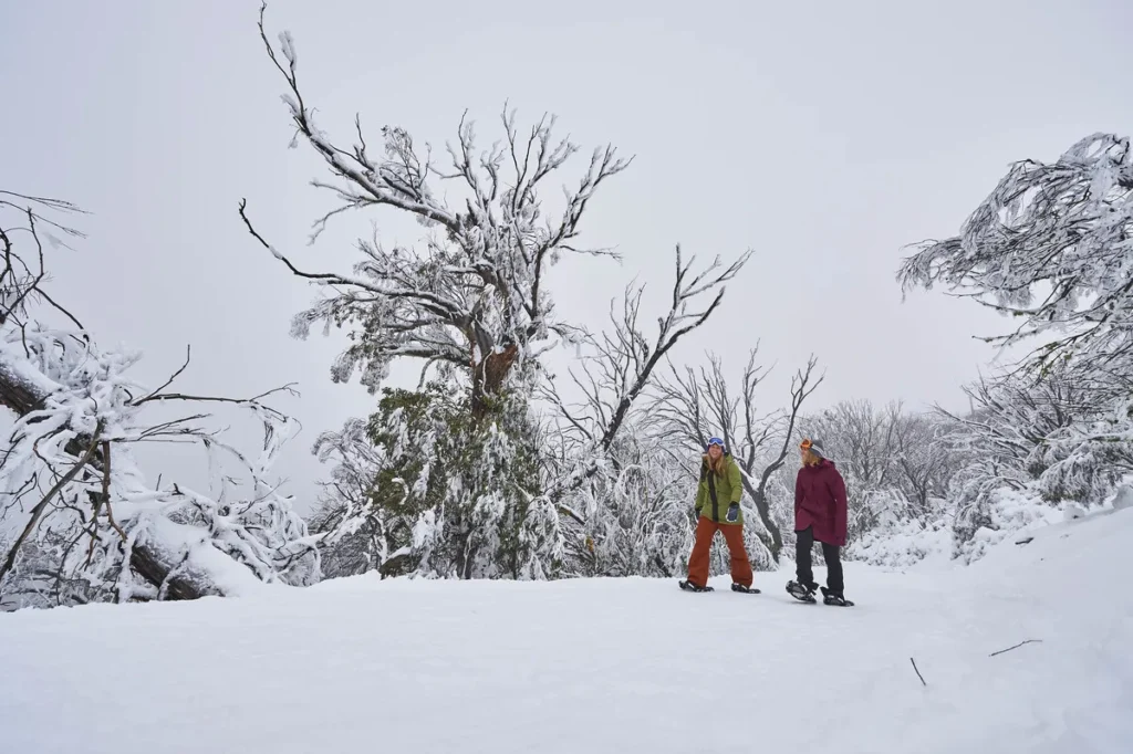 Experience the Thrill: Melbourne’s Best Snowboarding Spots