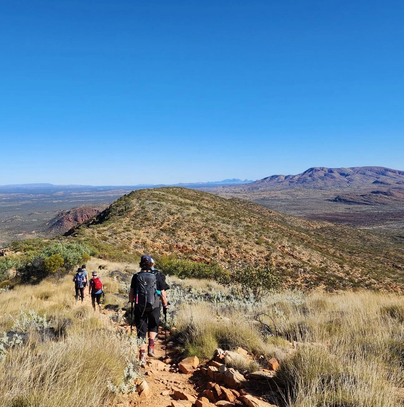 Best Time to Hike the Larapinta Trail: A Seasonal Guide