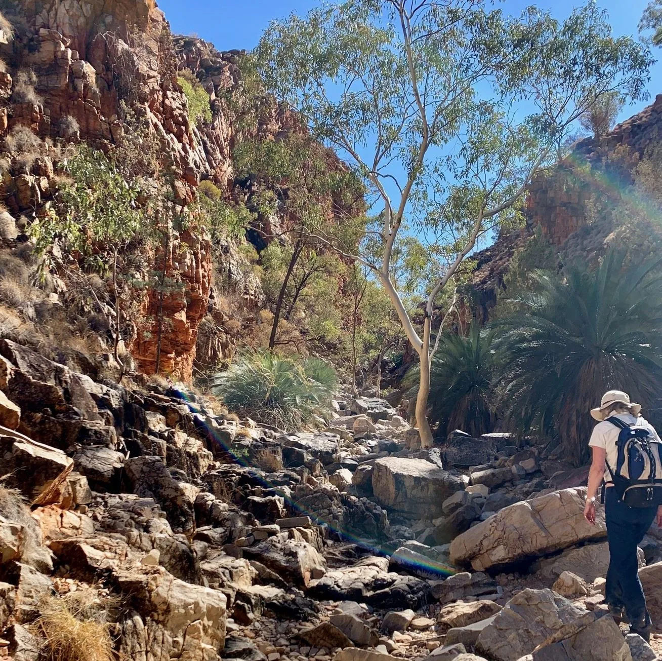 Best Time to Hike the Larapinta Trail: A Seasonal Guide
